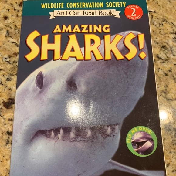 Scholastic | Toys | Amazing Sharksamazing Dolphins Flip Over Book ...